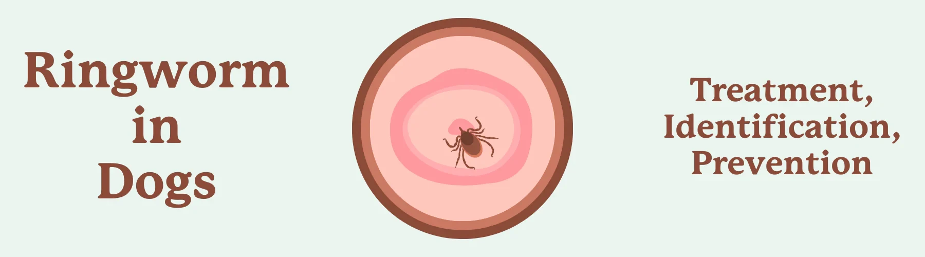 Understanding and Managing Ringworm in Dogs and Cats