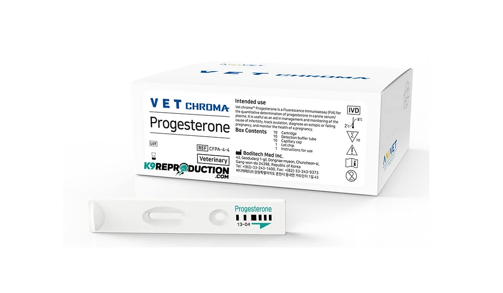 Advanced Canine P4 Testing Techniques