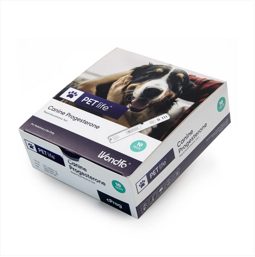 Wondfo Petlife Vet Canine Progesterone for dogs Test Kit (Box of 10 ...