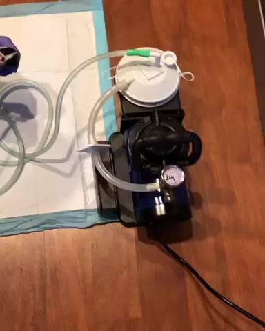 Maximizing Newborn Puppy Care with Phlegm Suction Machines from ...
