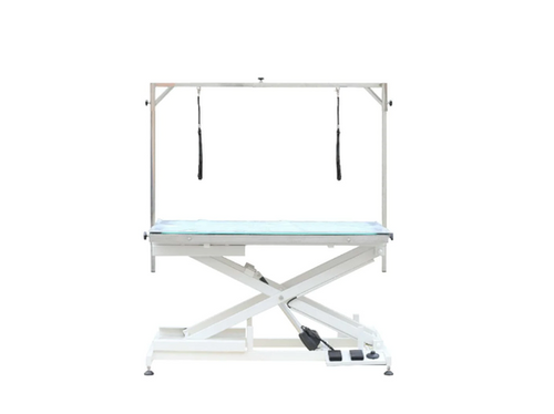 Aeolus LED Lighted Electric Lift Grooming Table | K9Reproduction