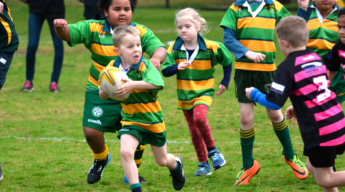 HOME | WOODVILLE WASPS RUFC