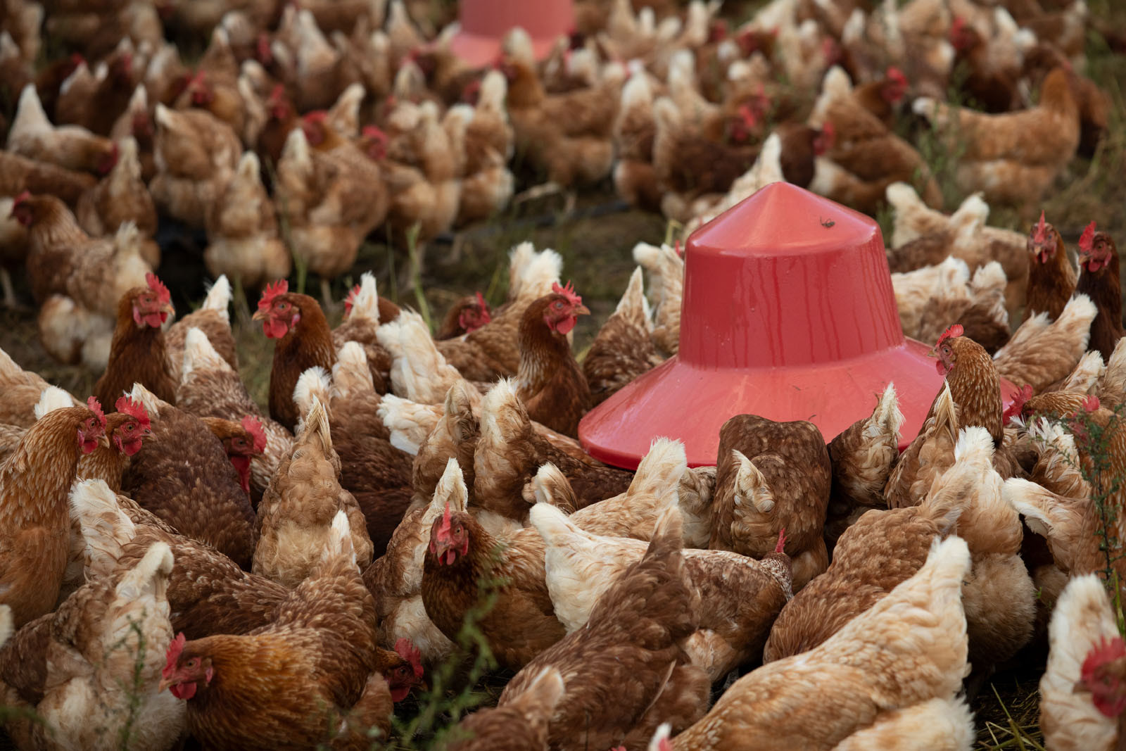 Schedule a Call and Start Selling Today on GrownBy | Farm Generations ...