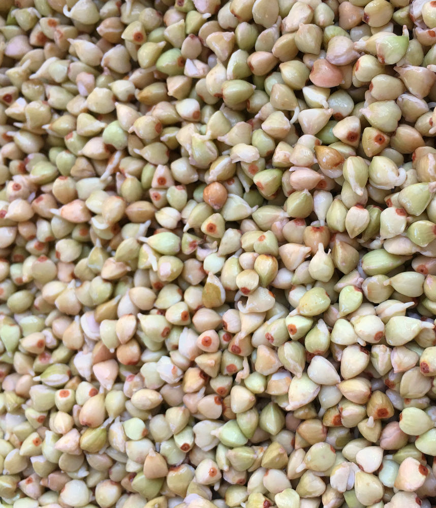 Sprouted Buckwheat Crust