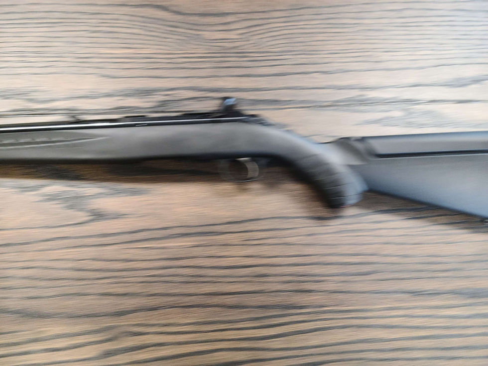 Inventory | First Due Firearms