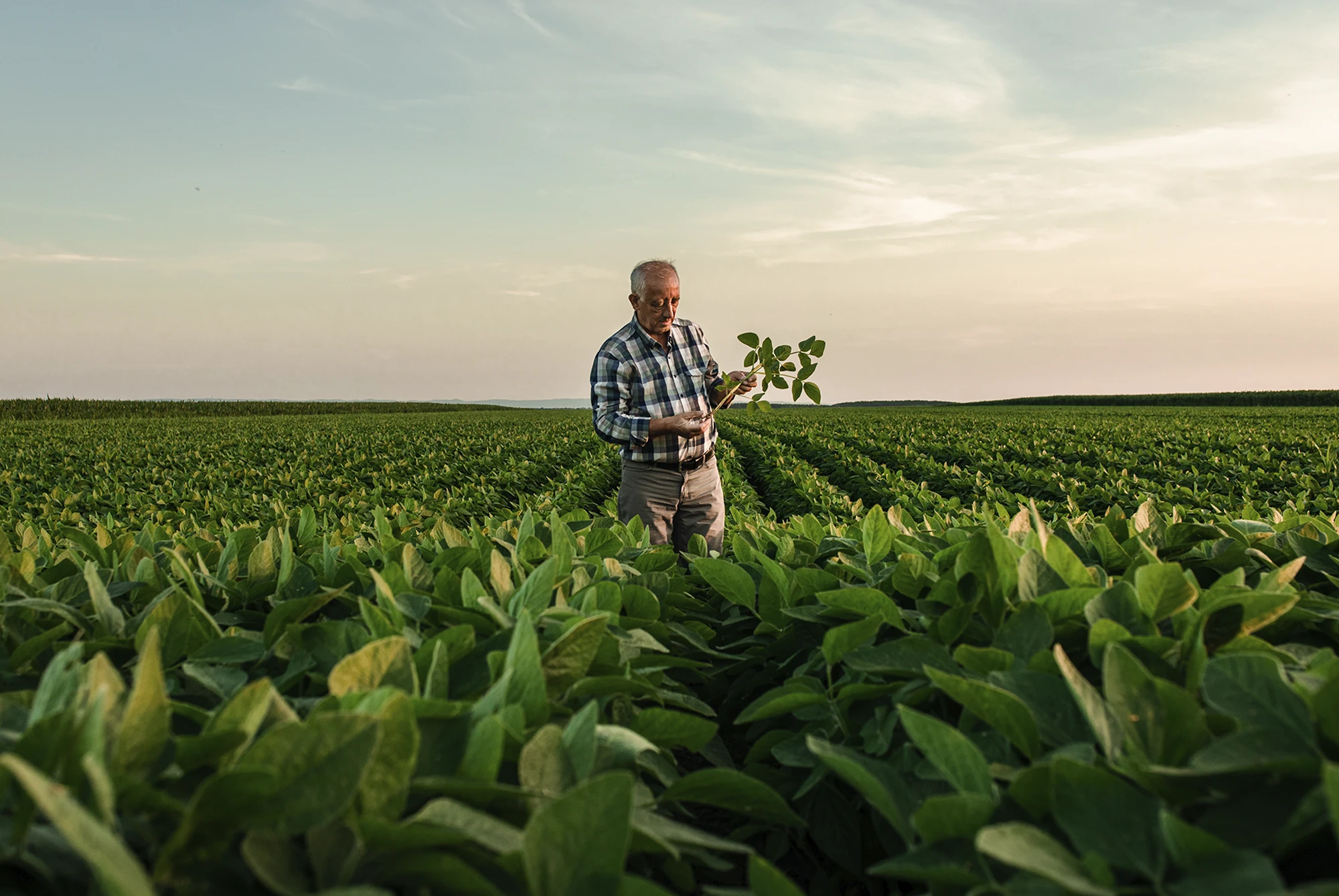 Bience Agriscience | O futuro é Bience