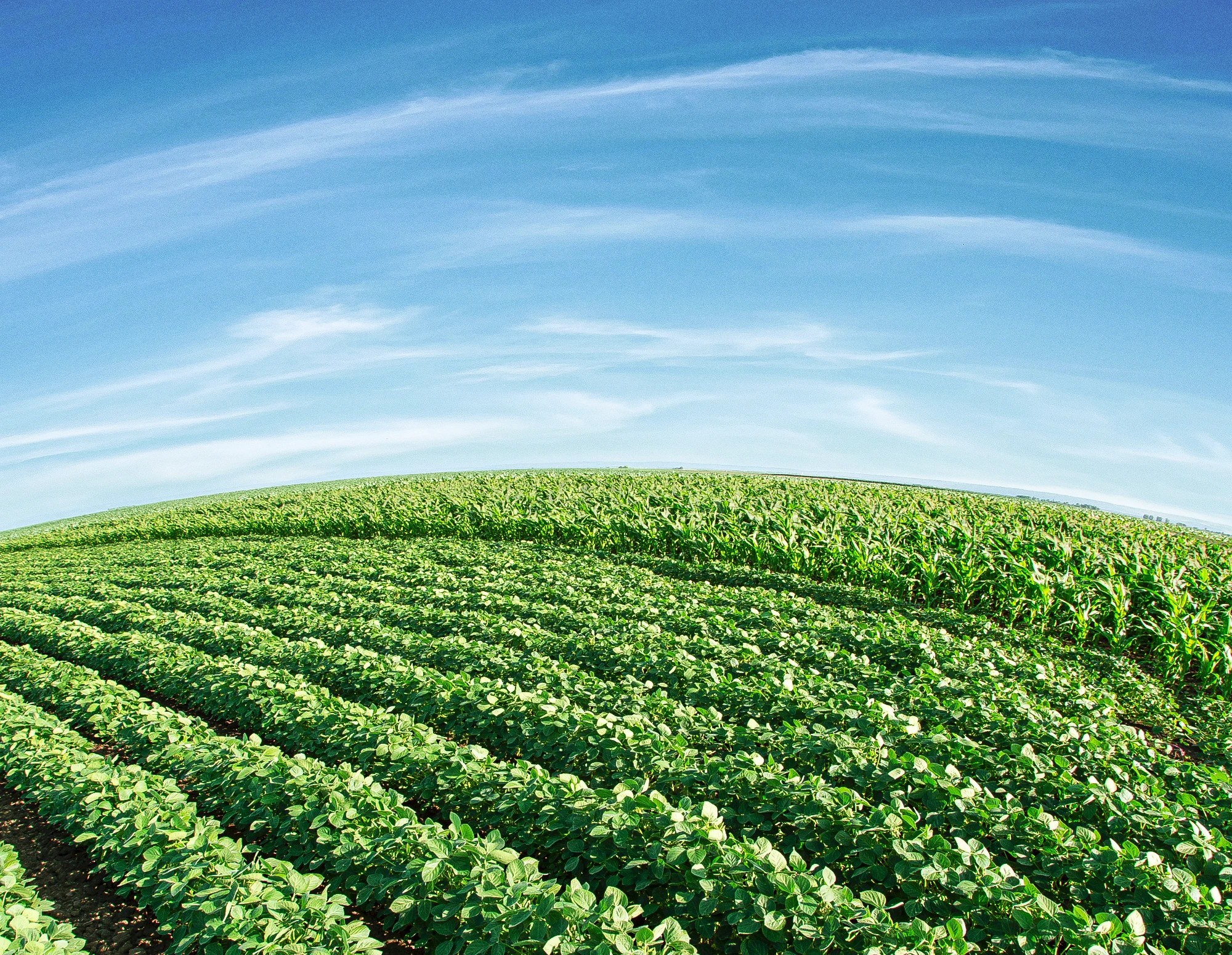 Bience Agriscience | O futuro é Bience