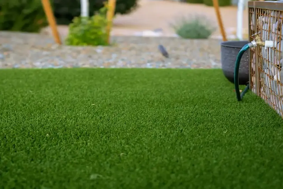 How Artificial Turf Can Help You Save Water in Arizona
