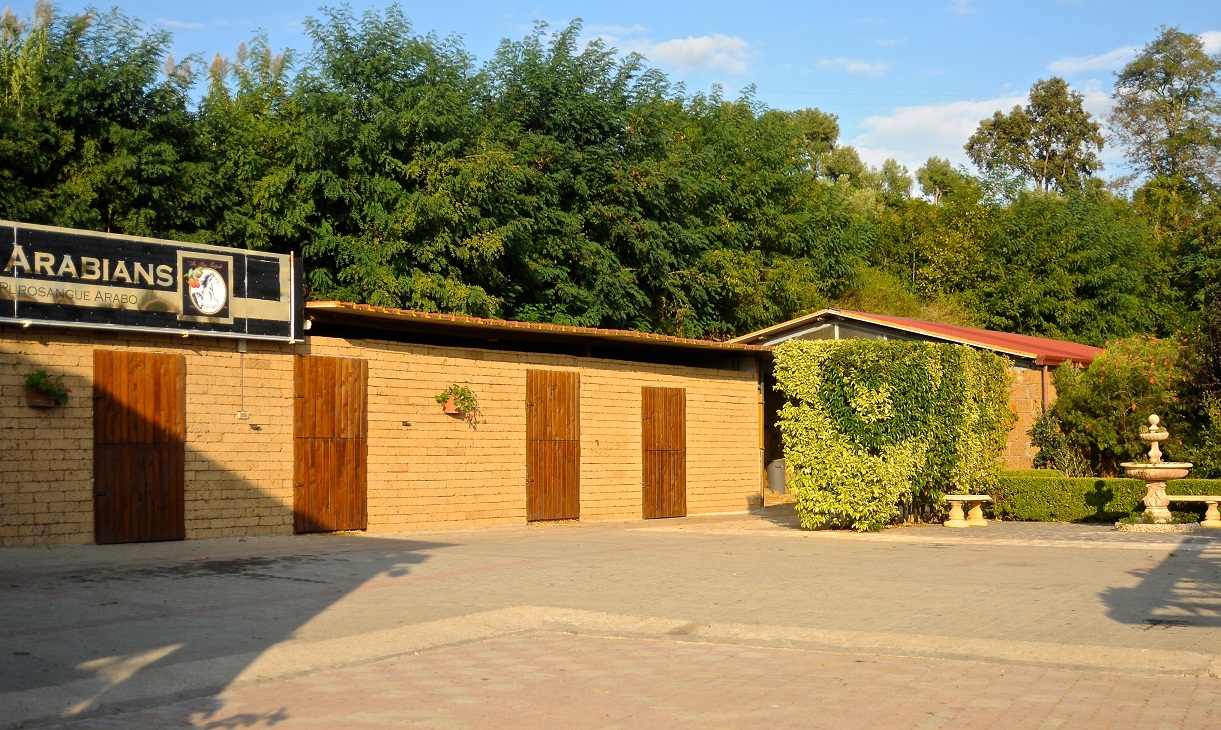 Farm | tripodiarabians