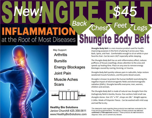 Shungite Body Belt | HealthyBioSolutions
