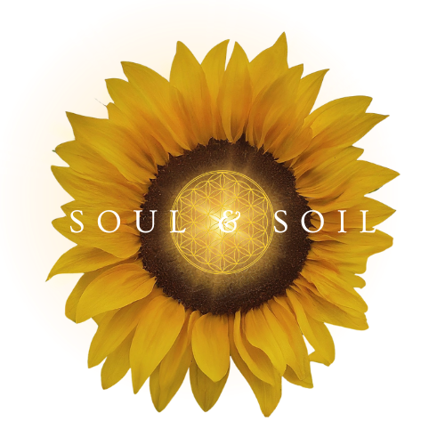 Contact Us - About Soul & Soil 🌿