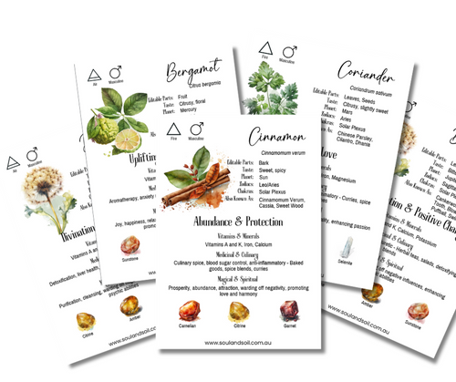 100 Herb & Spice Profile Cards - Instant Download | Soul & Soil