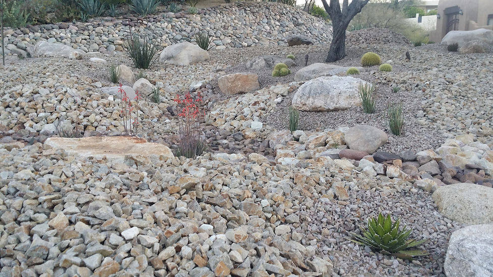 Award Winning | Artistic Landscape A