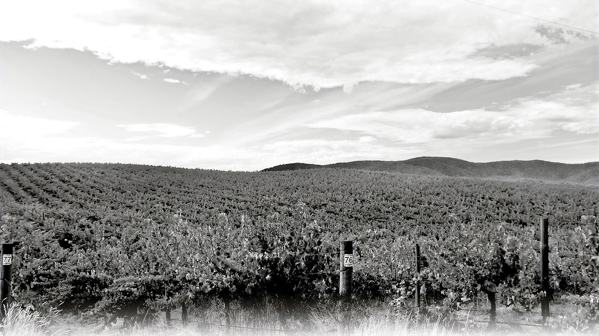 ABOUT | Joshua Cooper Wines