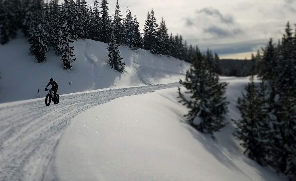 Fat Bike Race | Fat Pursuit | United States