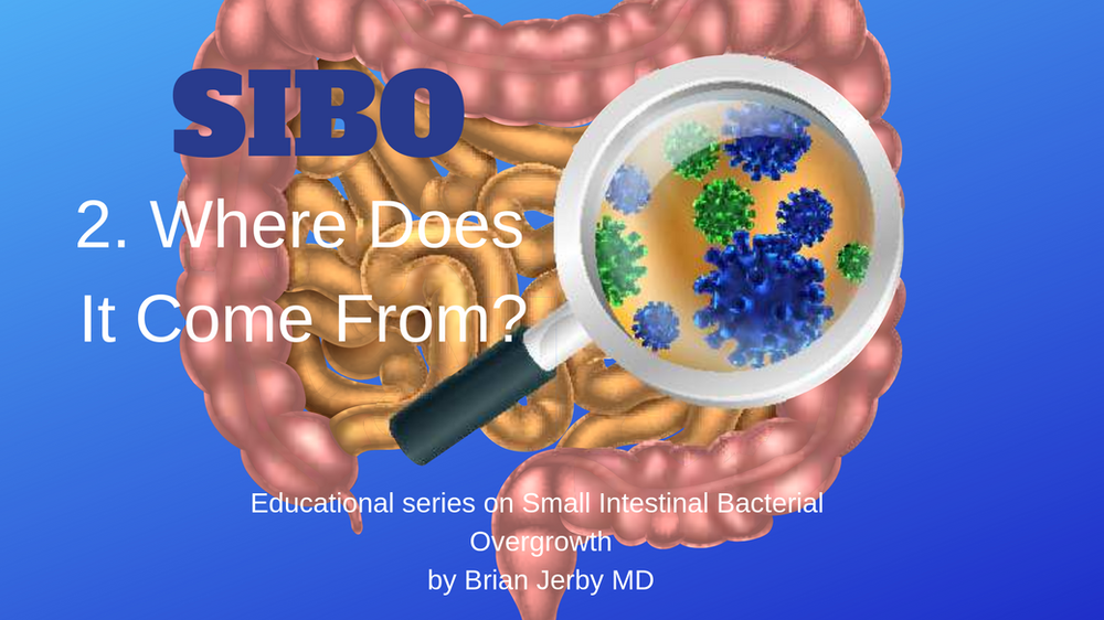 SIBO 2: What Are the Causes?