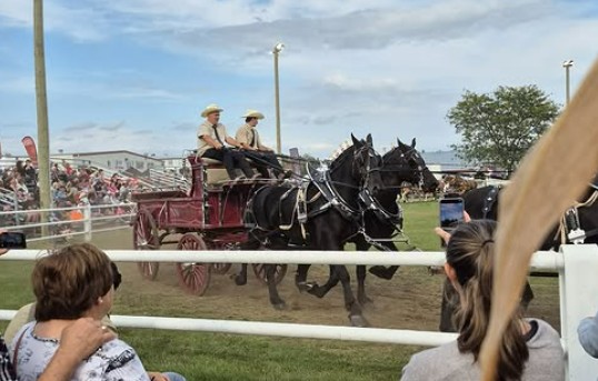 Review: A Great Weekend At The 162nd Carp Fair