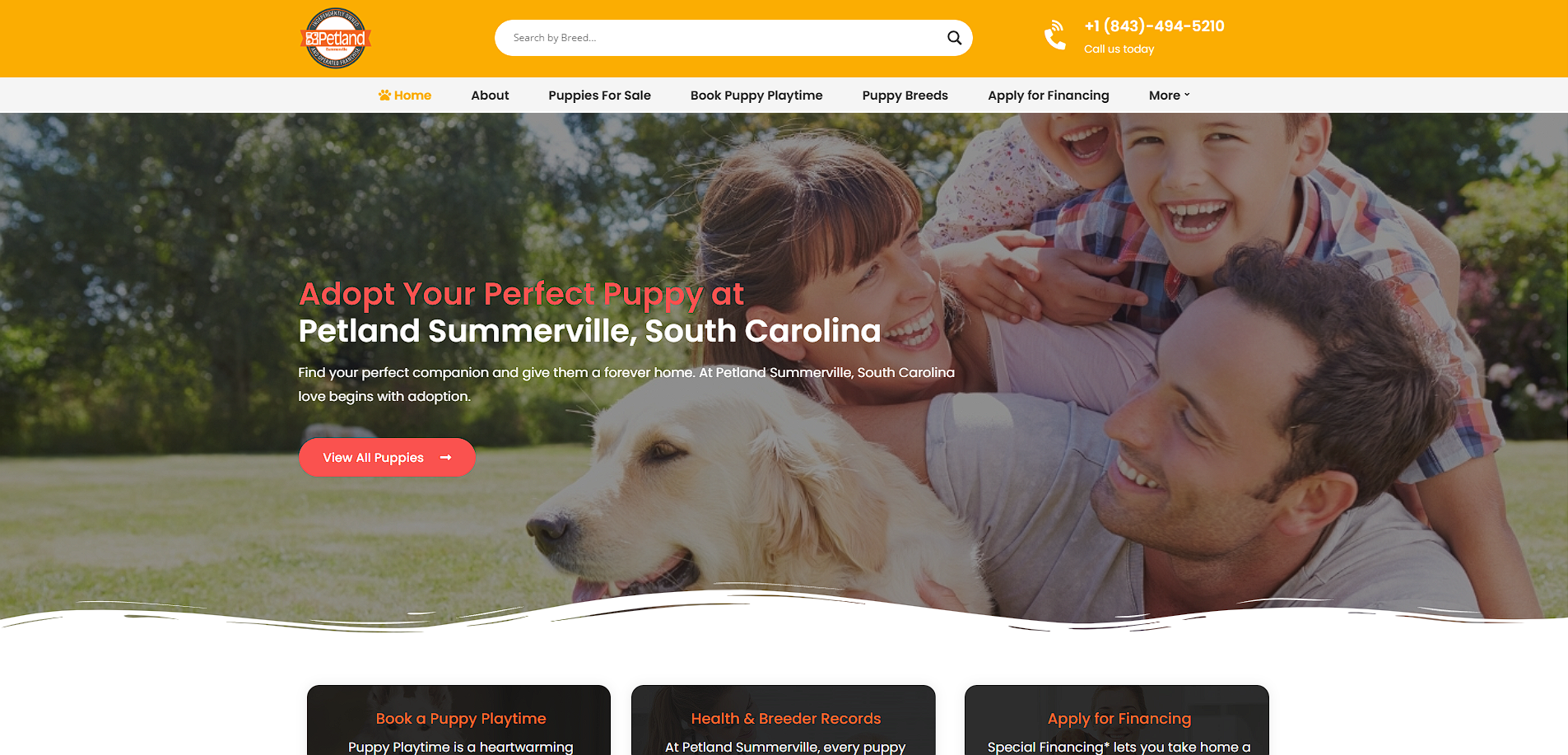 The Wix Wiz | Streamlining Pet Adoption Through Smart PetKey API ...