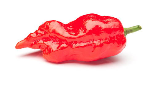 Red Ghost Pepper | Rolling Hills Exotic Peppers