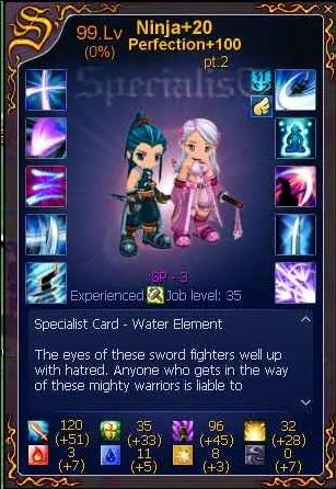 Nostale Dragonveil +20/100 Ninja Card | Esxgame