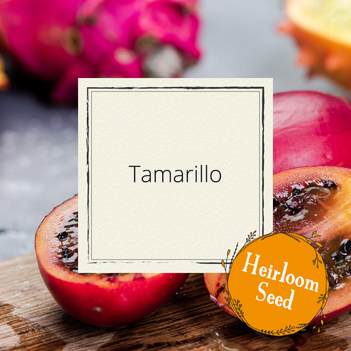 Tamarillo | Honeymoon Farm