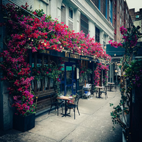 Italian Restaurant | Da Andrea Ristorante | New York