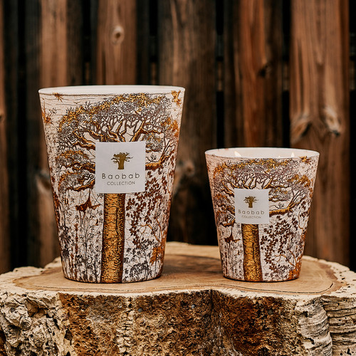 Baobab Collection Sacred Trees Summer Dualla Candle (Max 10 - Maxi Max ...