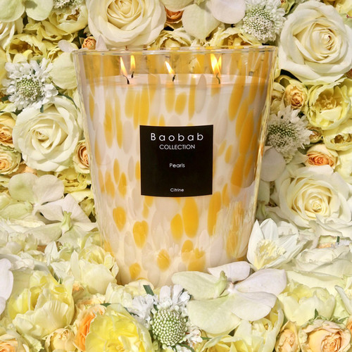 Baobab Collection Citrine Pearls Candle (Maxi Max) | Flaming Queen Home