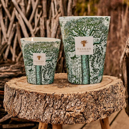 Baobab Collection Sacred Trees Summer Kamalo Candle (Max 10 - Maxi Max ...