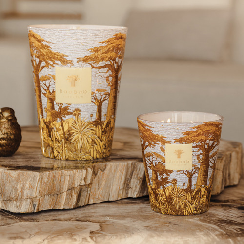 Baobab Collection Sacred Trees Cocody Candle (Max 10 - Maxi Max ...
