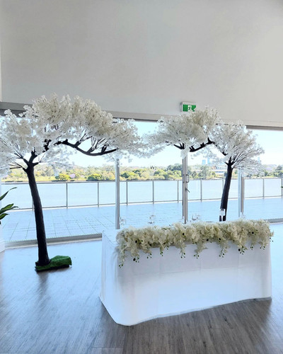 Canopy Blossom Tree 2.5.by 2.5 m | Wow Weddings Hire