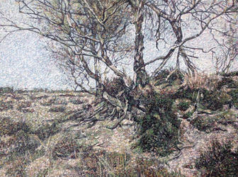 paintings inspired by noise (realistic) | Jens Hesse