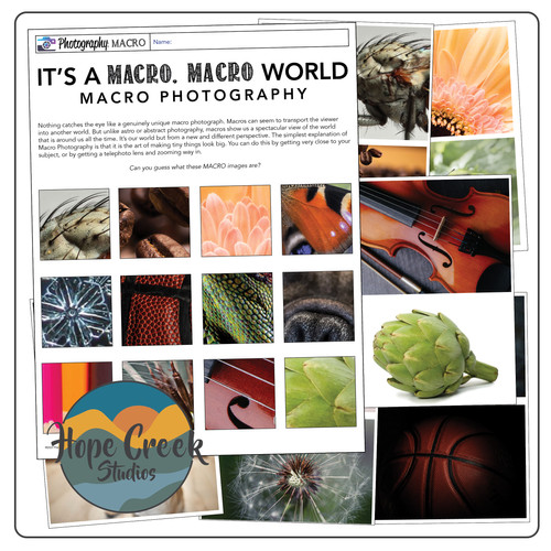 Art Macro Close Up Photography Worksheet Guessing Game Lesson Guessing ...