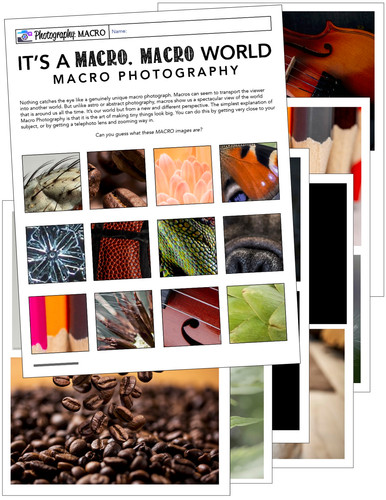 Art Macro Close Up Photography Worksheet Guessing Game Lesson Guessing ...