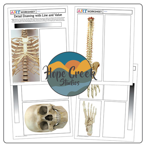 Art Drawing Worksheet Line Value Shading Skeleton Figure Bones Lesson ...