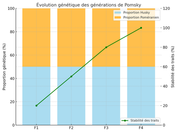 Explication des générations F1, F2, F3 et F4 des Pomsky