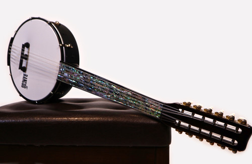 Custom Banjo, 11 Strings Fretless Banjo - Bancod | Erasaz
