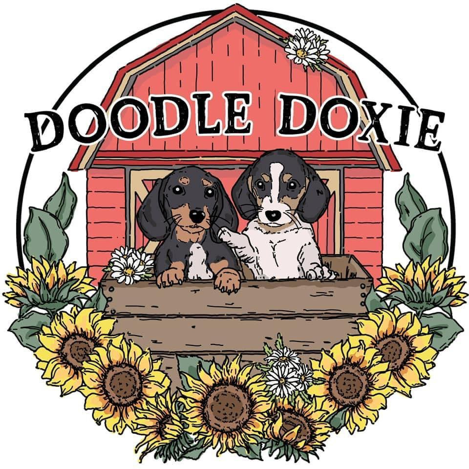 Home | Doodle Doxie
