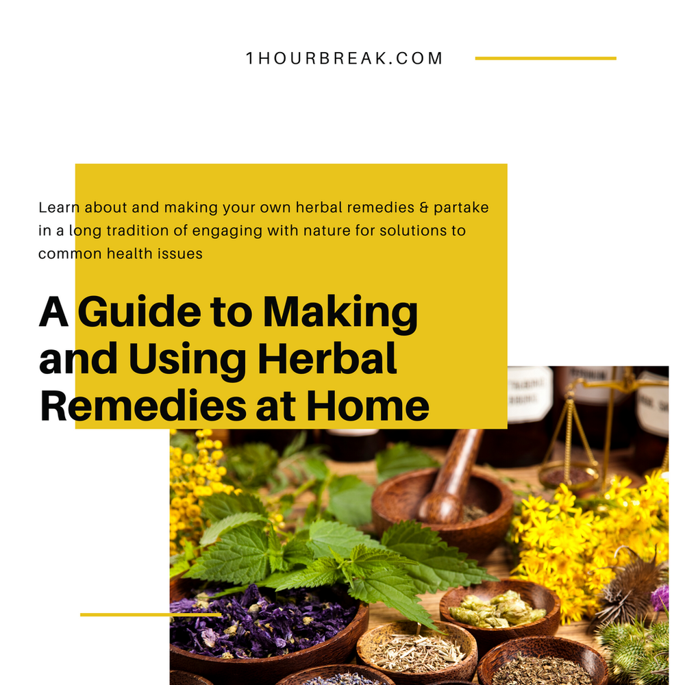 A Guide to Making and Using Herbal Remedies at Home