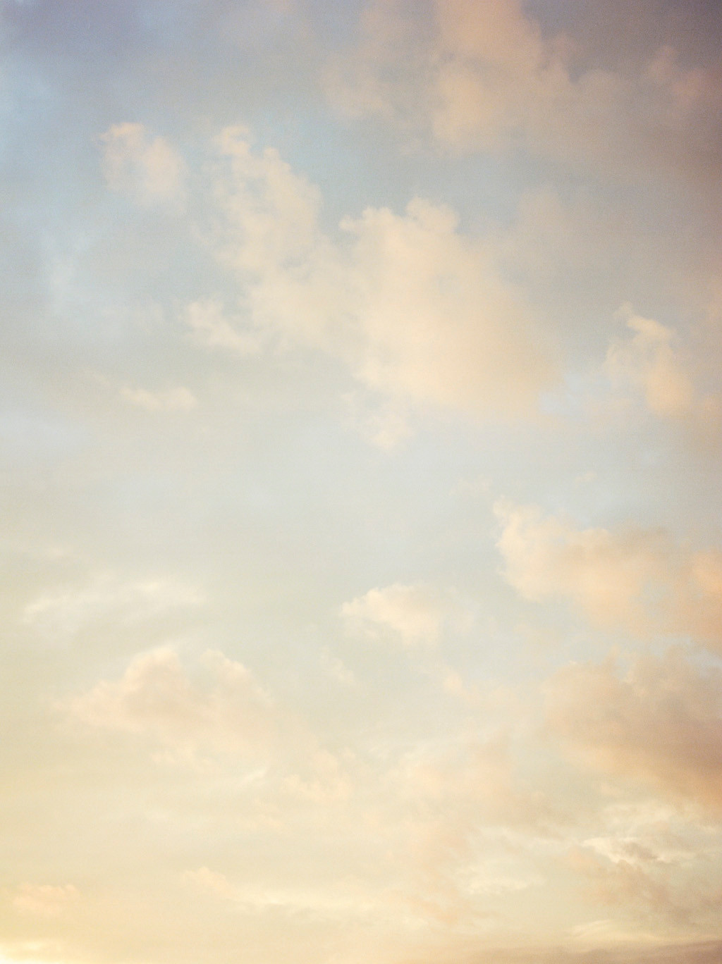 Jessica Ostrander Photography⎜Columbus, Ohio⎜Film & Digital