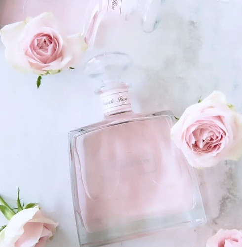 Flower Box - French Rose - Hallmark Diffuser | Daisy Layne