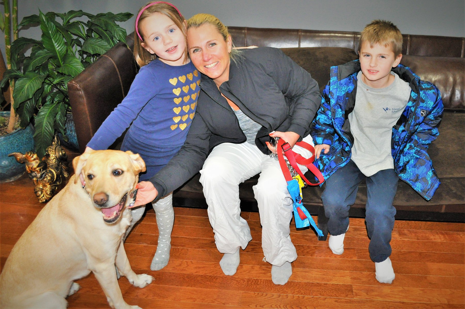 Available Dogs | wesavelabs