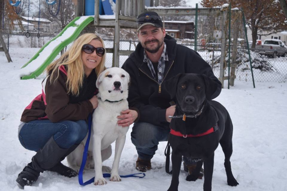 Available Dogs | wesavelabs