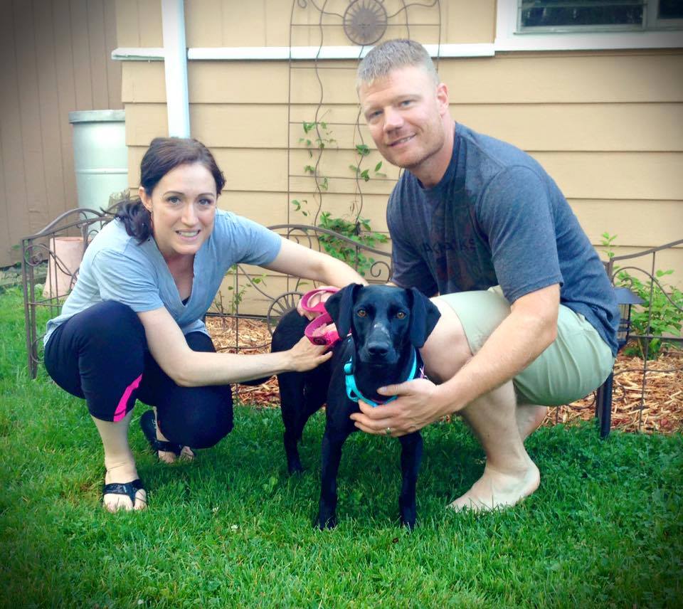 Available Dogs | wesavelabs