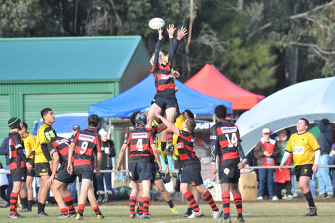 Registration Juniors | Singleton Rugby Club