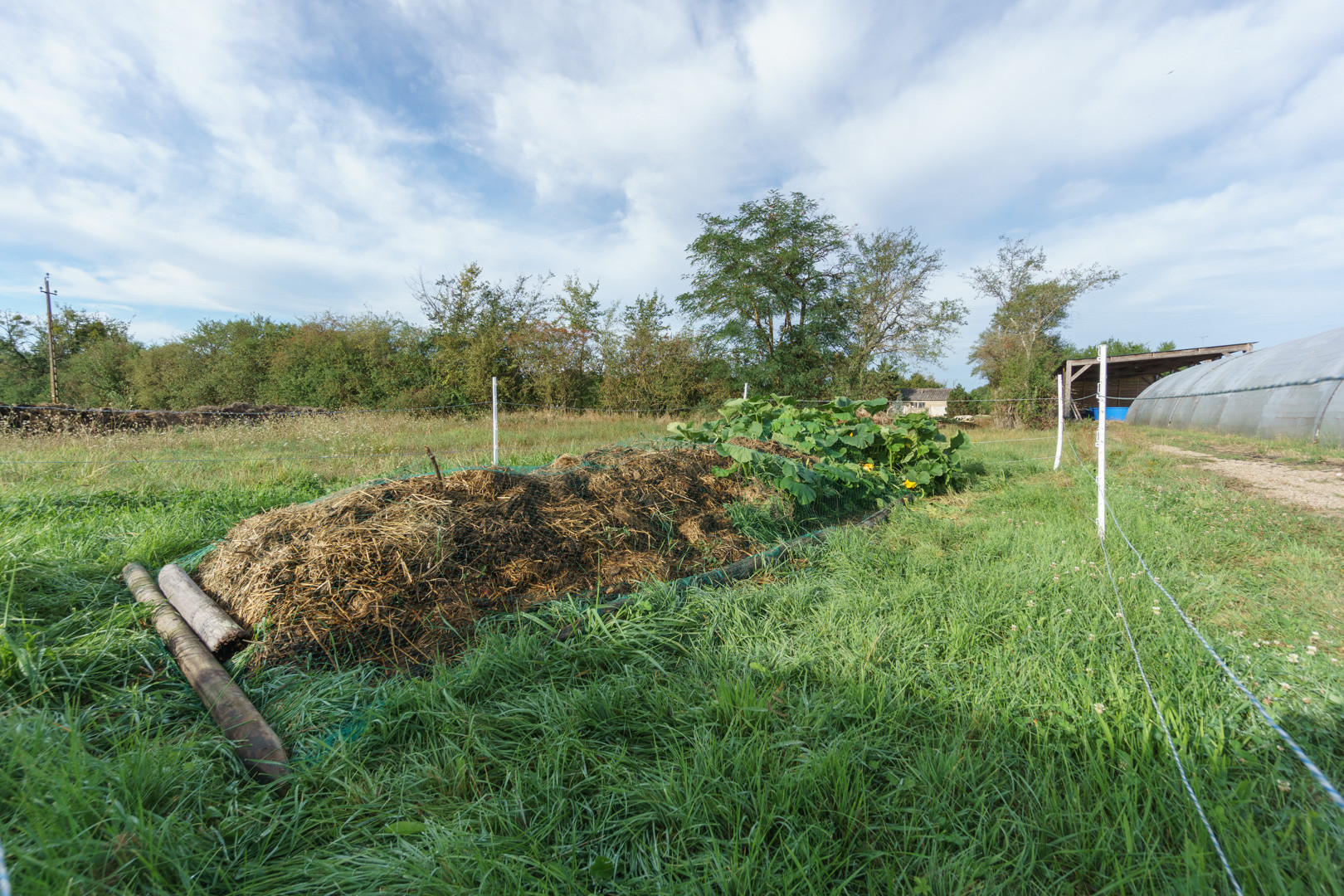 Lombriculture et lombricompostage | Horizon insertion
