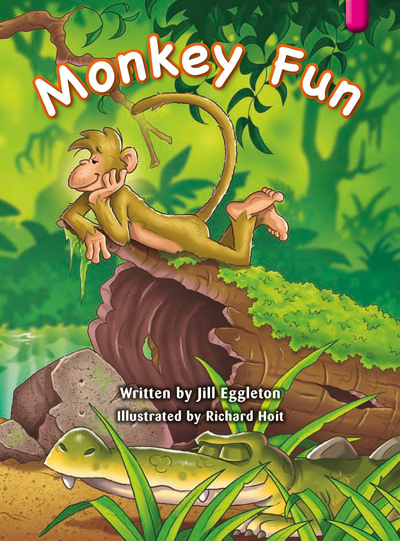 Monkey Fun