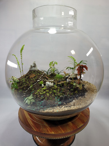 Miniature theme Terrarium in 20ltr borosilicate flask | Aranya Terrariums