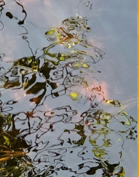 Spring 1 | NOA Gallery