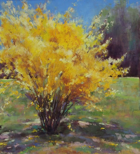 Spring Burst | NOA Gallery